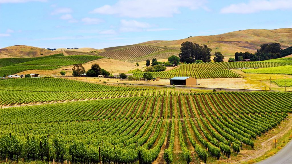 Visiting Calistoga: Things to Do | Calistoga Motor Lodge & Spa